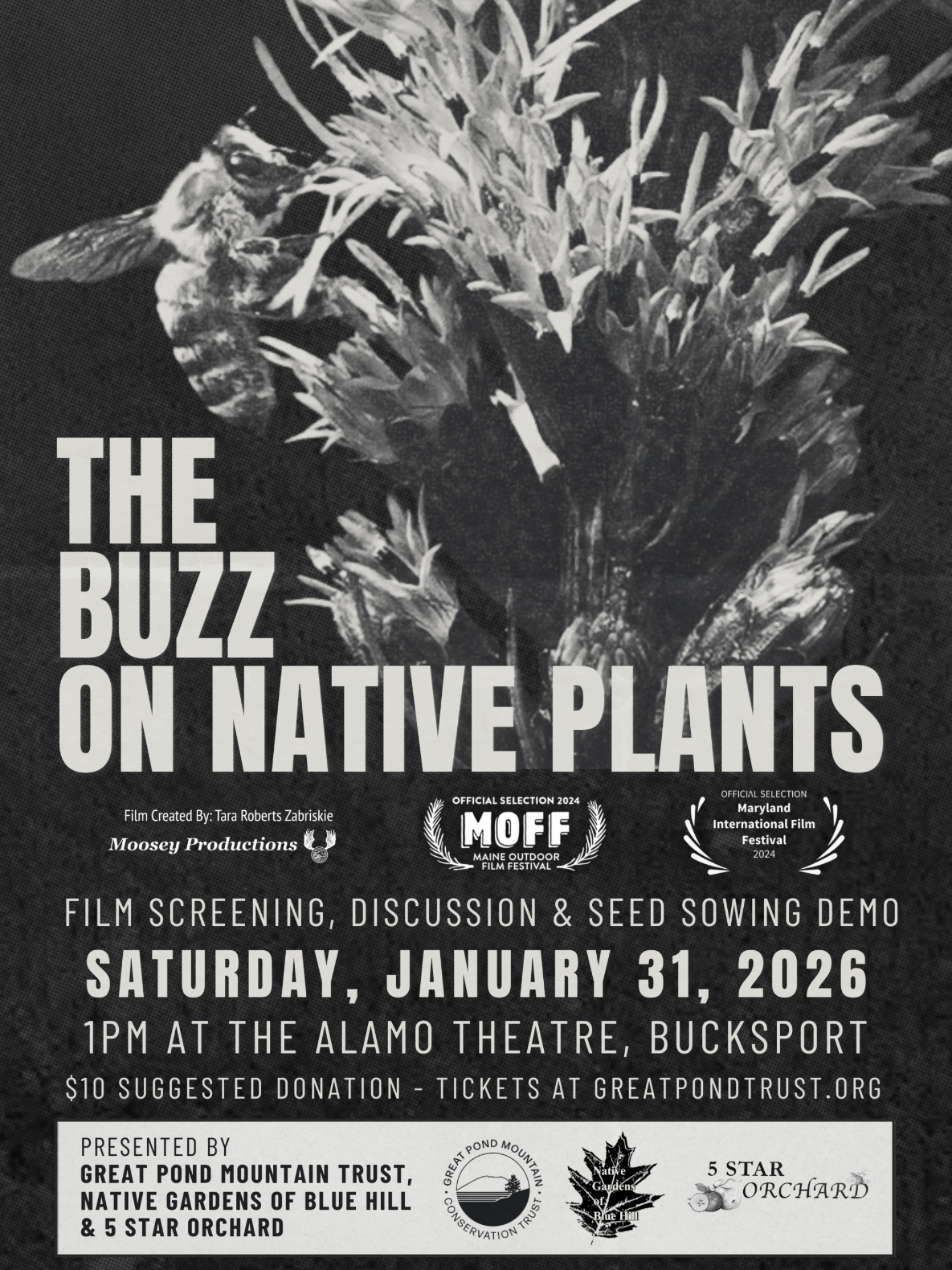 “The Buzz on Native Plants” – Film Screening, Discussion & Seed Sowing ...